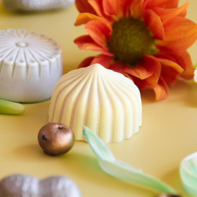 Chocolate Mold MOCHI 2 | Chocolat-Chocolat Inc.