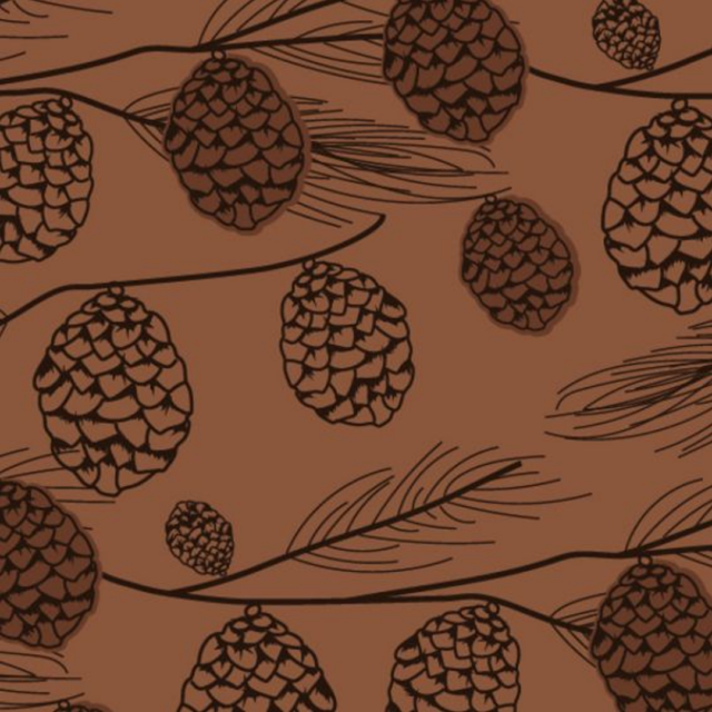 "Pine Cone″ - Transfer sheets | Chocolat-Chocolat Inc.