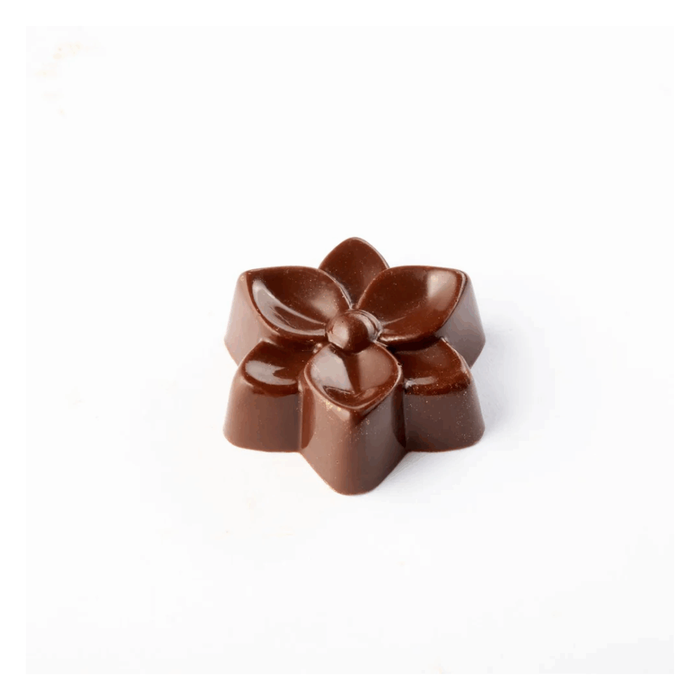 Chocolate and Praline Mold - Flower | Chocolat-Chocolat Inc.
